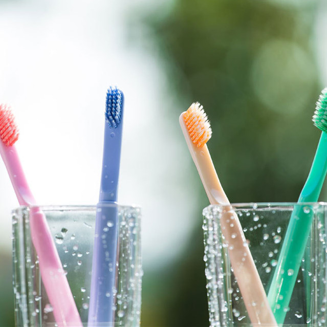 Creative Japanese and Korean style toothbrush | TGN Toothbrush ...