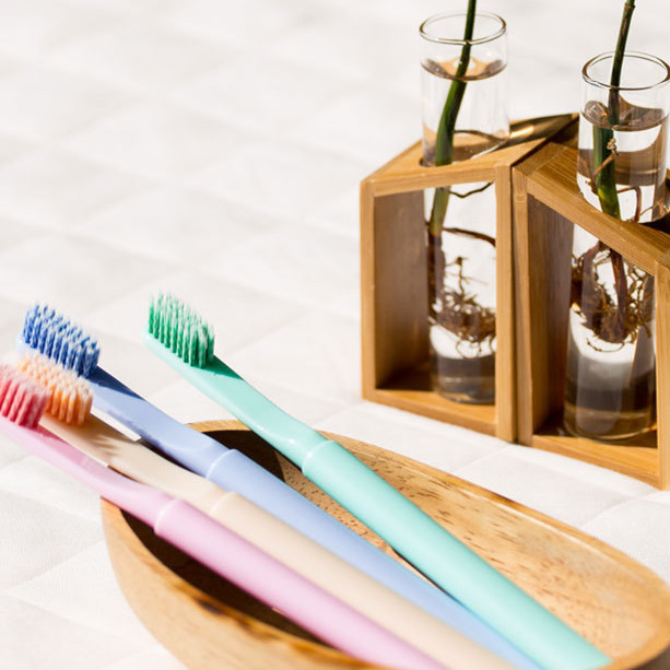 Creative Japanese and Korean style toothbrush | TGN Toothbrush ...