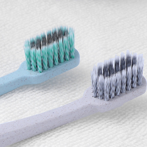 Antibacterial non-bamboo charcoal soft hair toothbrush | TGN Toothbrush ...